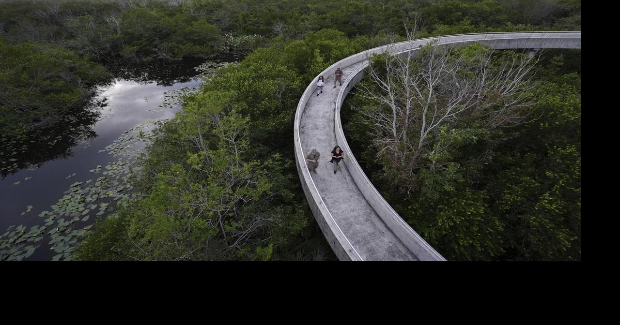In Florida, a race is on to save the Everglades and protect a key ...