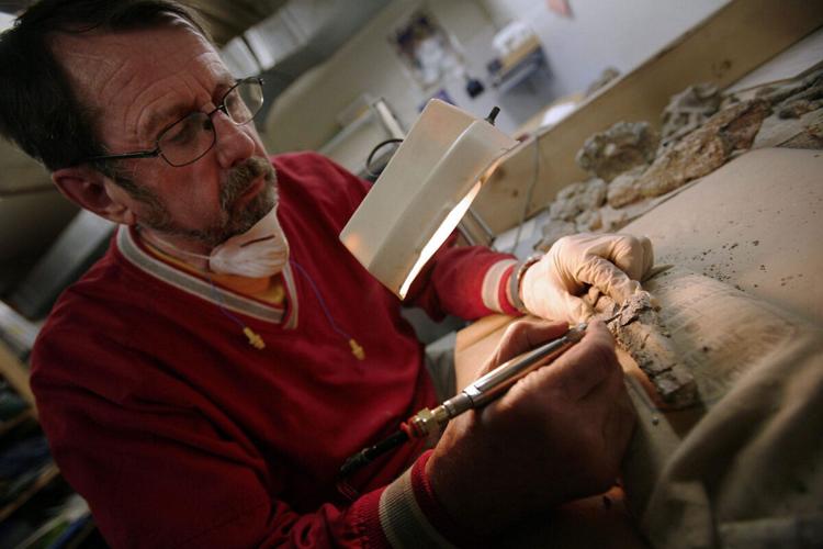 Bruce, a Manitoba mosasaur, swims into Guinness record book