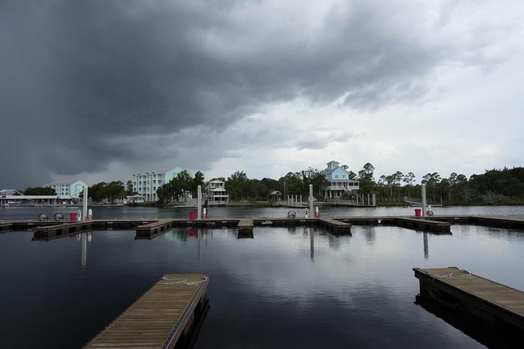 Hurricane Idalia makes landfall in Florida's Big Bend, the 'Nature ...