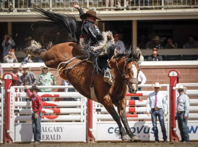 Photo Gallery: Calgary Stampede rodeo competition