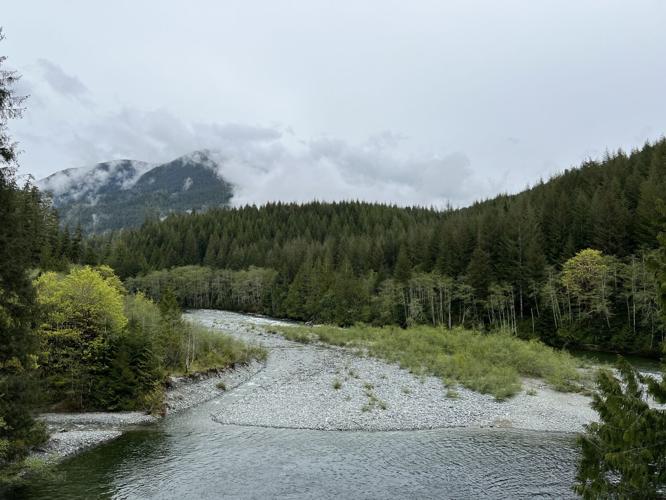 Visit Port Renfrew, B.C., the tall trees capital of Canada