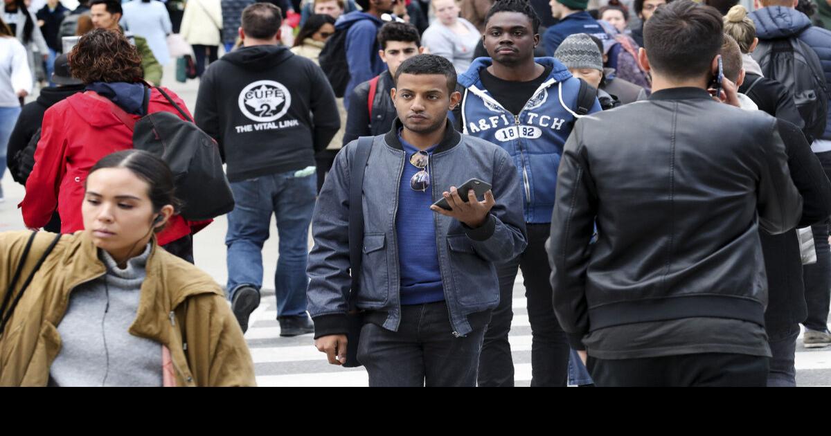 Toronto is now majority visible minority. What about your neighbourhood?