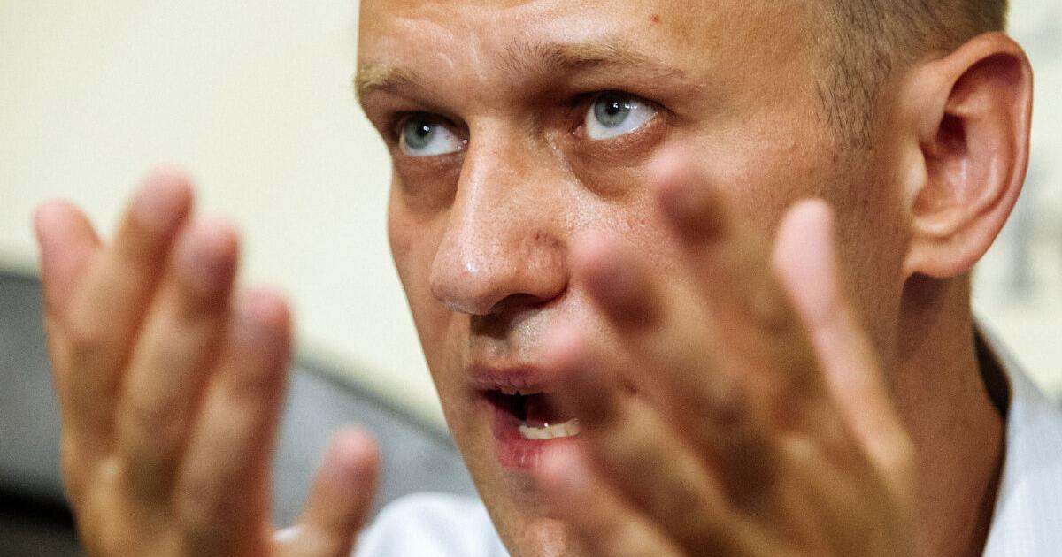 Russian Opposition Activist Who Works With Alexei Navalny Attacked On