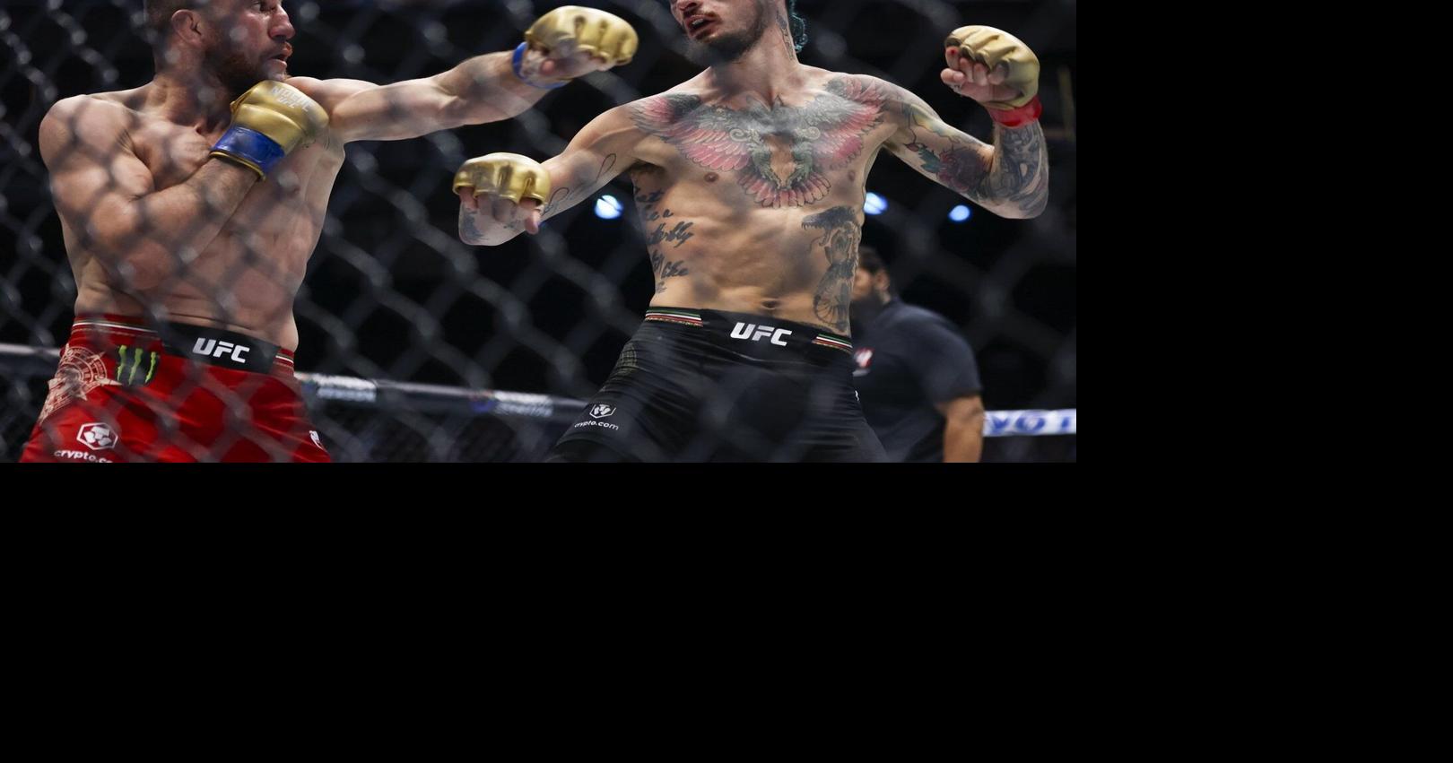 UFC title contender Sean O'Malley quit weed, social media and hair dye ...