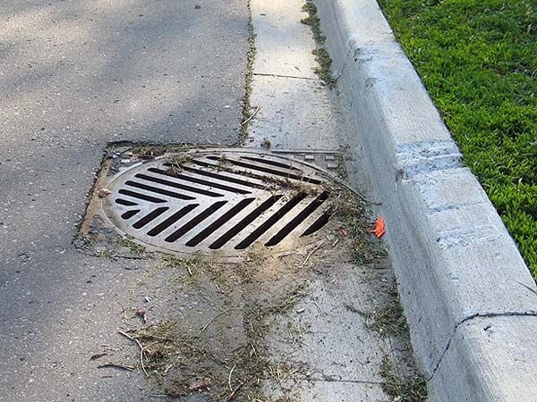 City aims to meet grate expectations