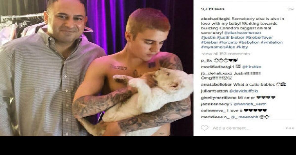 Justin Bieber warned by Toronto staff over exotic cats photos