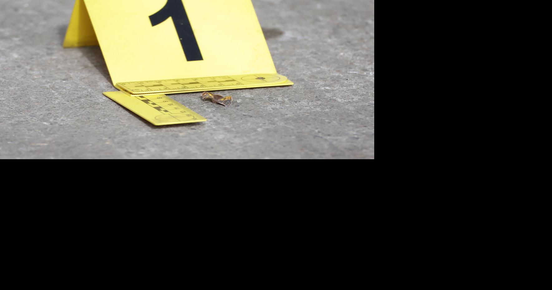 Toronto police ID Moss Park shooting victim as Lyle Pounall