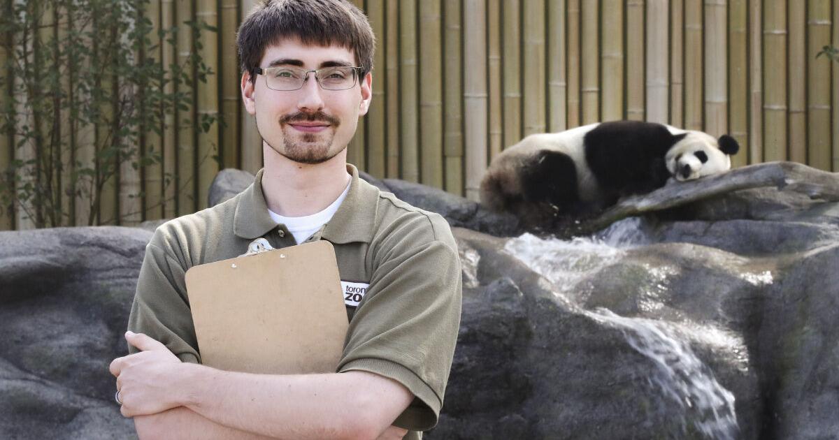 Meet the man who watches pandas for a living
