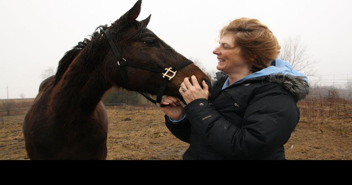 Neglected horse rescued from Durham Region farm thriving with adoptive ...