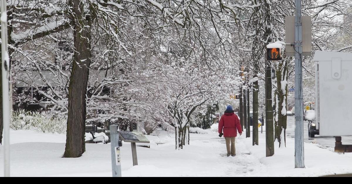 Special weather alert calls for heavy snow in Toronto