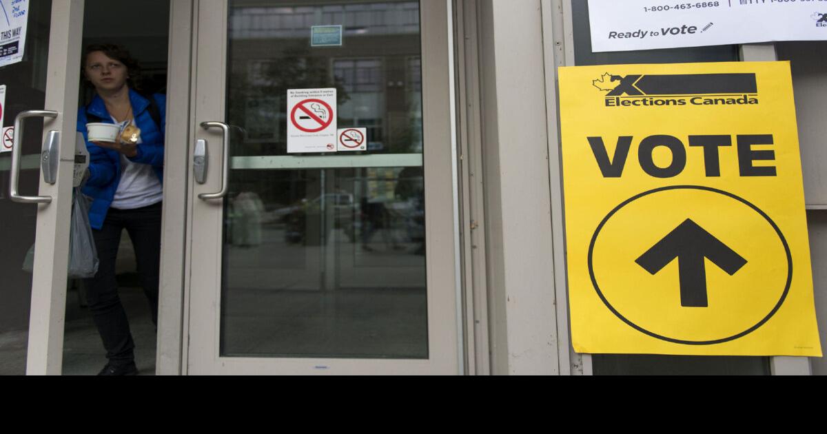 Why the voting selfie is a wonderful thing: Teitel