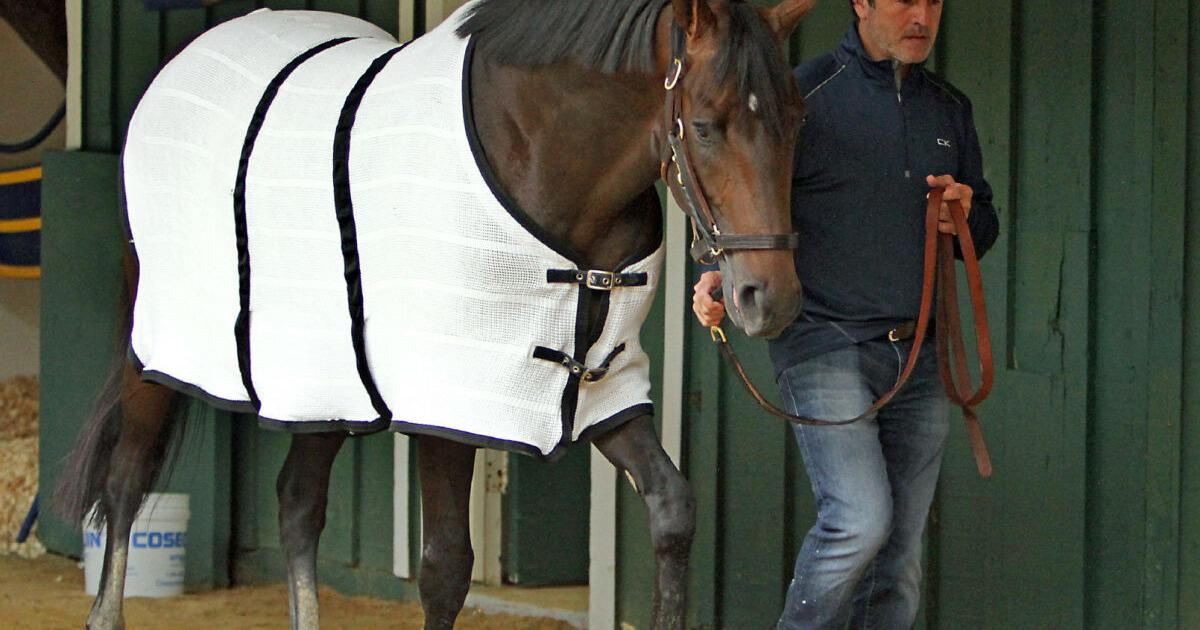 For horse trainer Keith Desormeaux, his dream has come true