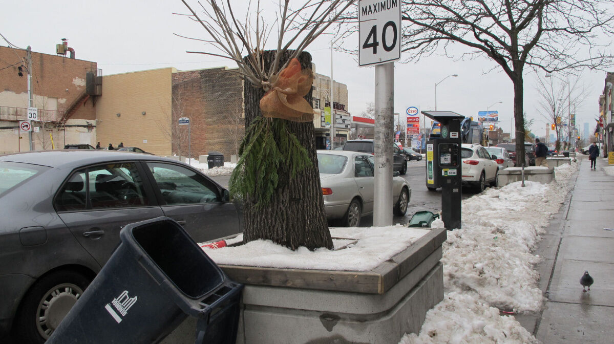 Overdressed For Winter