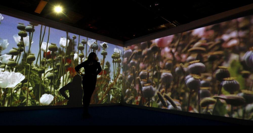 History of drugs exhibition opens in London