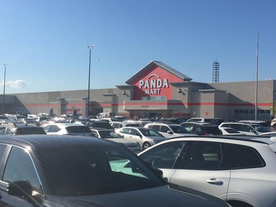 Scarborough Panda Mart discount store opens to long lines