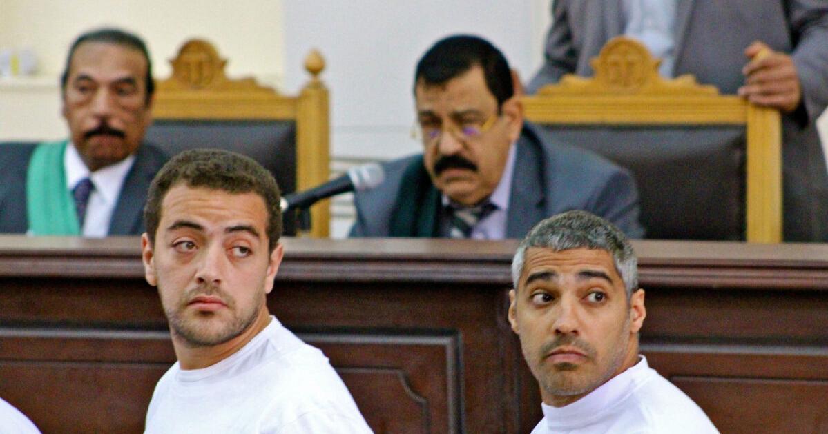 Baird urges 'fair and expeditious' trial for journalist jailed in Egypt
