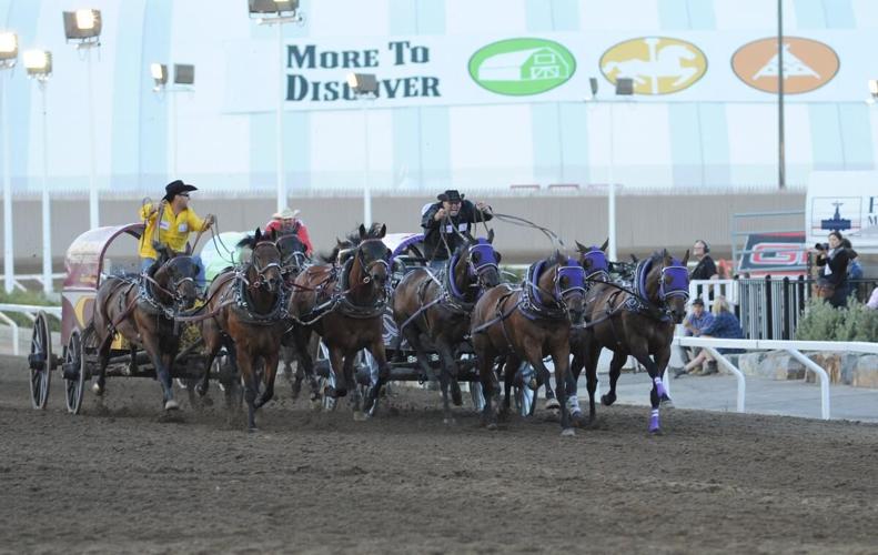 Opinions differ on how to handle animal safety at rodeo events, like ...