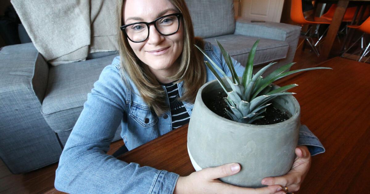 Cultivating tropical fruit in a condo climate
