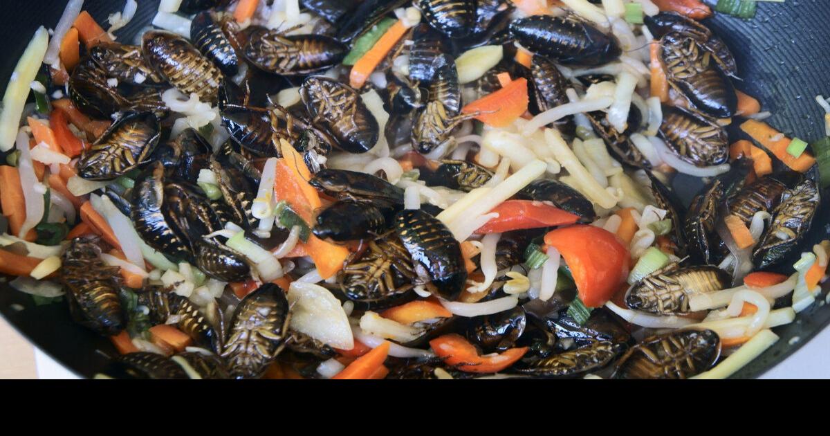 China’s new ‘secret ingredient’: cockroaches