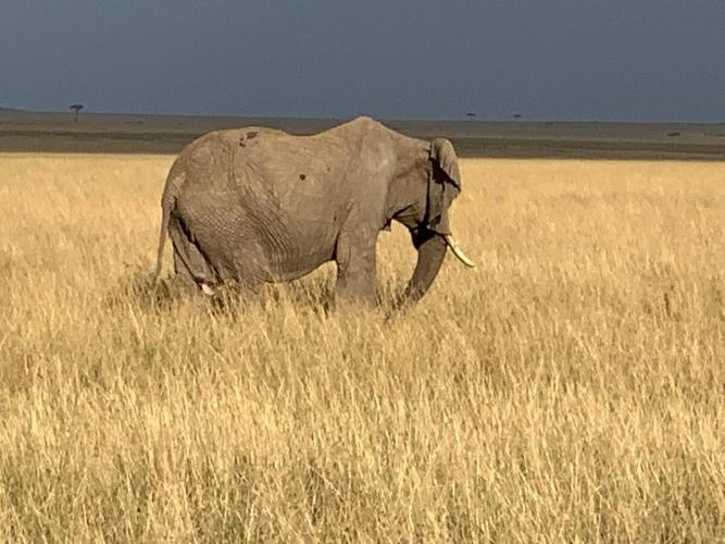 Beloved Toronto Star writer Kenneth Kidd, who ‘found stories everywhere ...