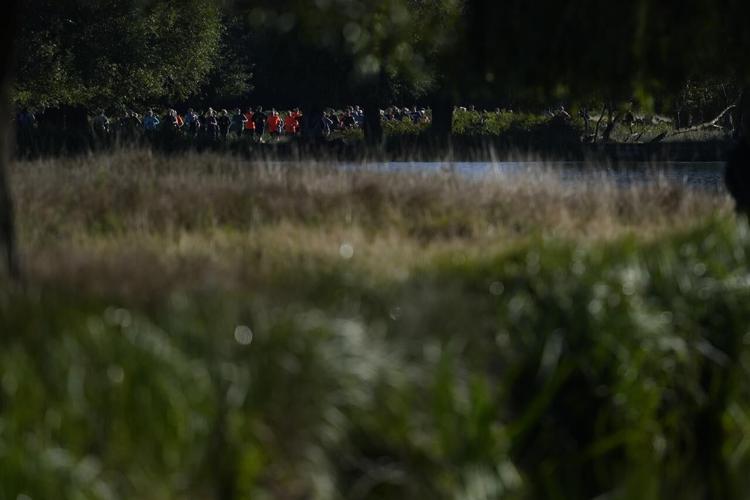 Parkrun celebrates 20th anniversary as weekly race grows from 13 ...