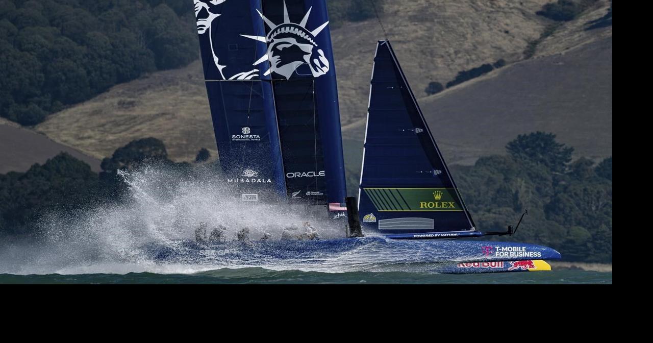 Endangered dolphins on course prevent racing at SailGP New Zealand in ...