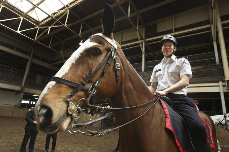 Toronto Police Mounted Unit recruits saddle up for graduation
