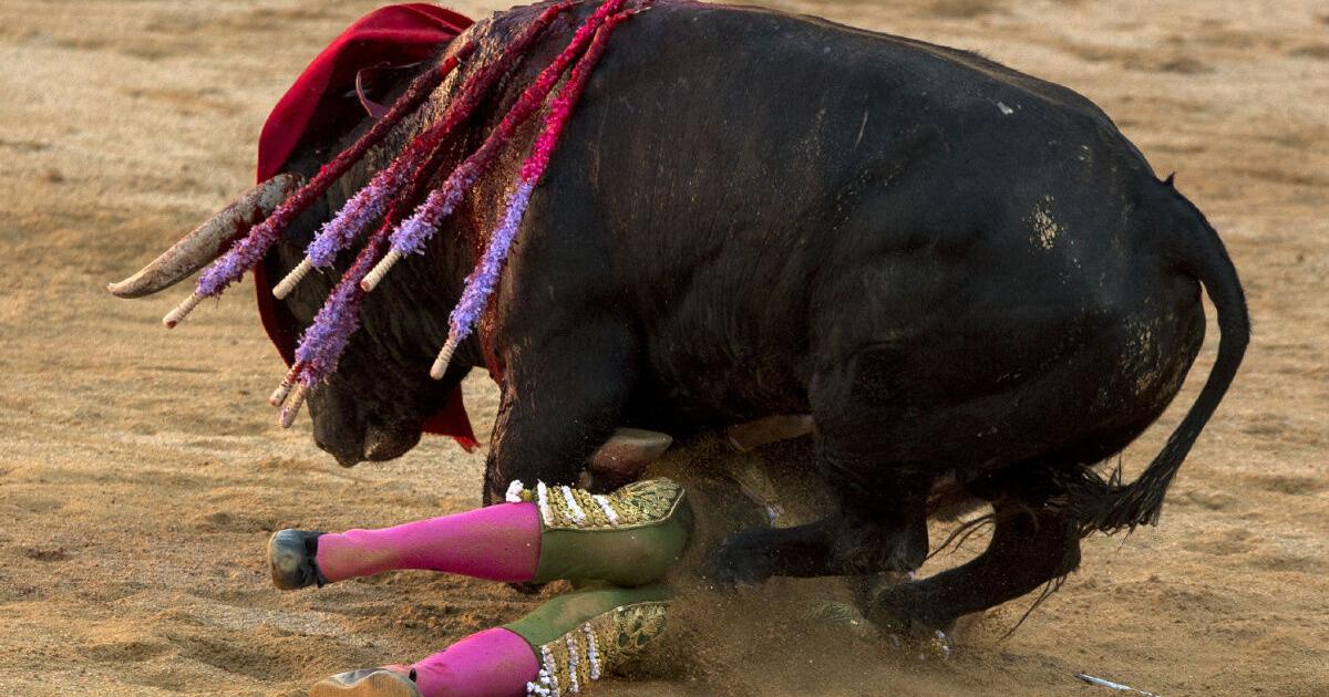 Body count soars in Spanish bullfighting’s summer of blood