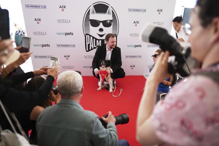 Panda wins the 2025 Palm Dog award at Cannes — and a look-alike accepts