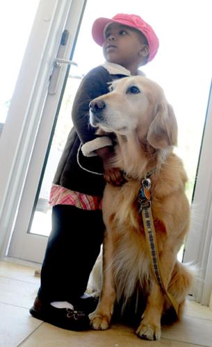 Meet McDonald’s Canada founder George Cohon’s therapy dogs, Tilly and Simmy