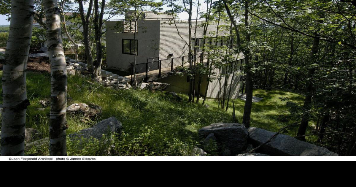 Hume: Architecture and the edible city