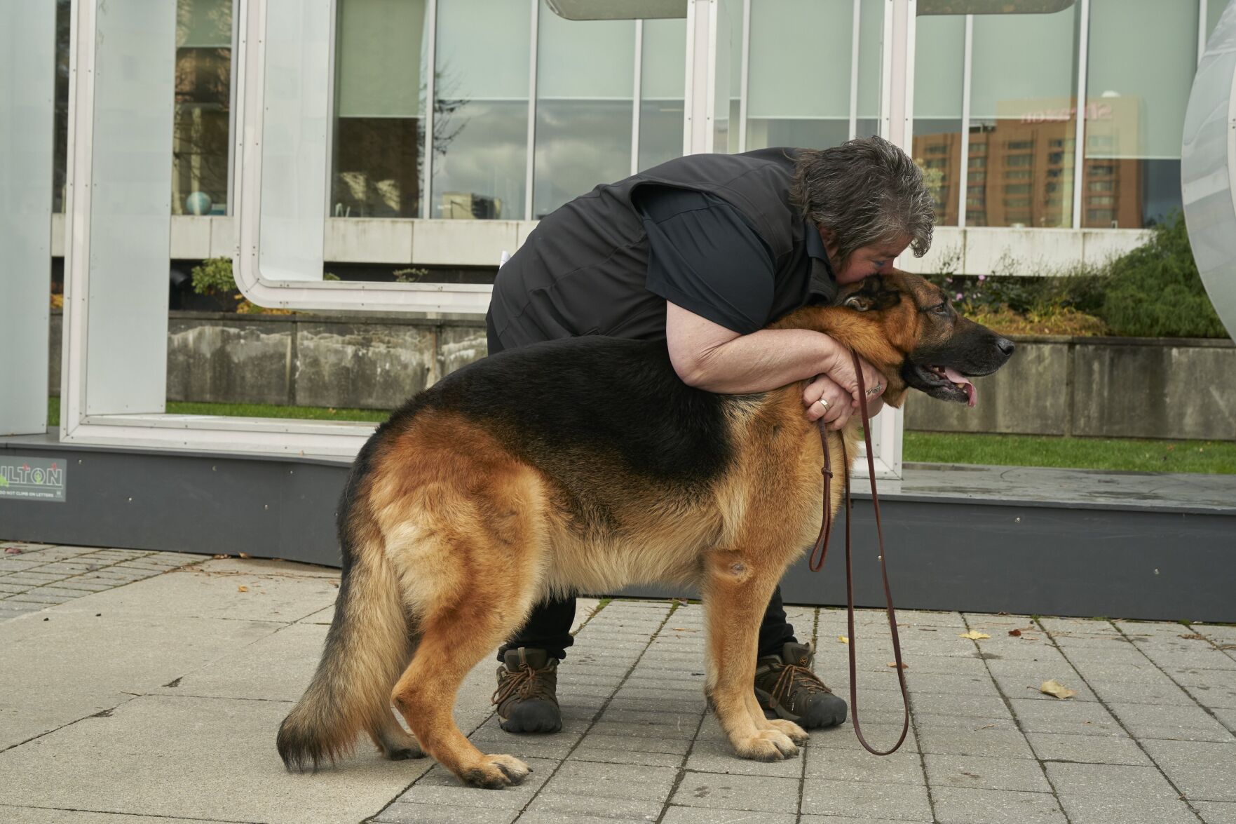 Why Hudson & Rex kept their star Diesel’s death a secret