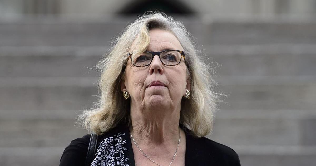 Green rift opens over federal party’s stance on Alberta’s oilsands