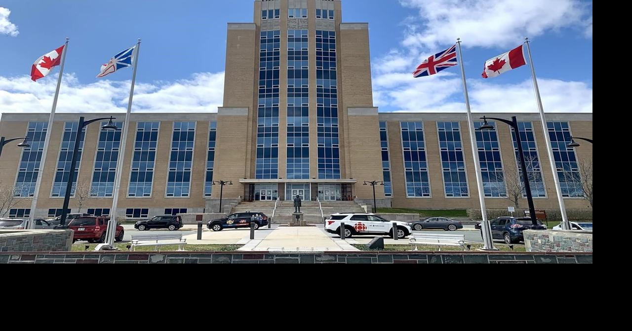 Newly elected Tory Opposition leader in N.L. says people should pay ...