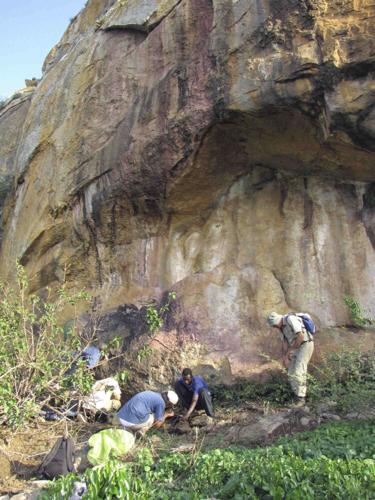 Scientists rediscover ‘terrible hairy fly’ in Kenya