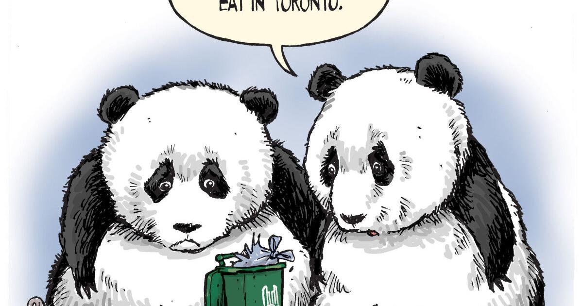 Pandas in Toronto