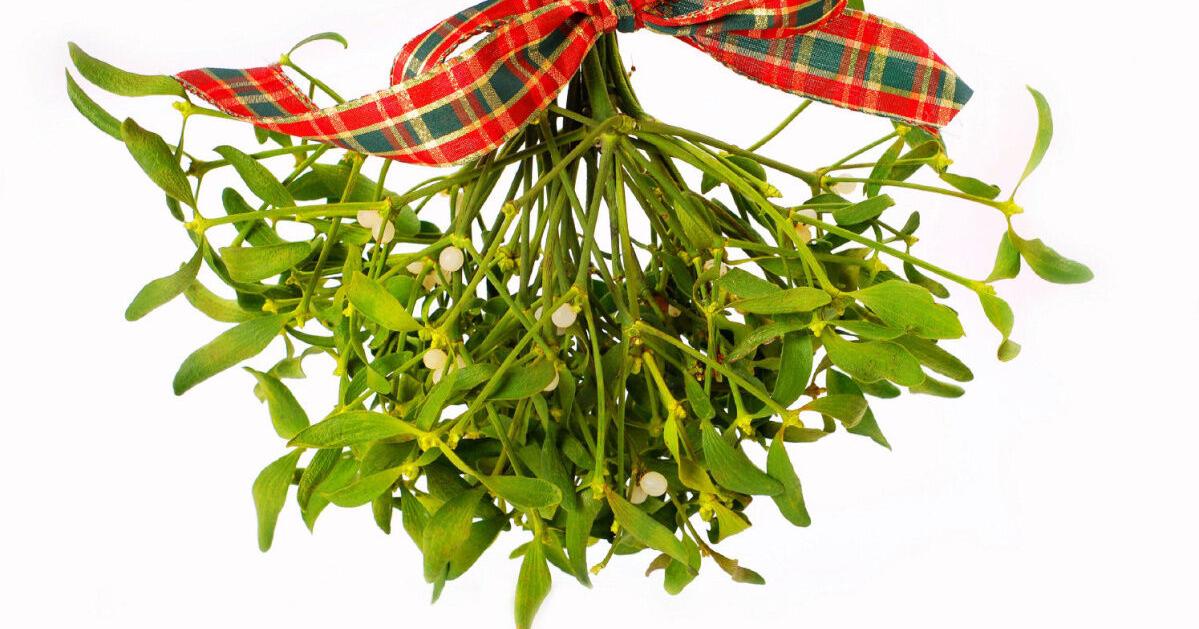 Mistletoe Kissing Prank video goes viral