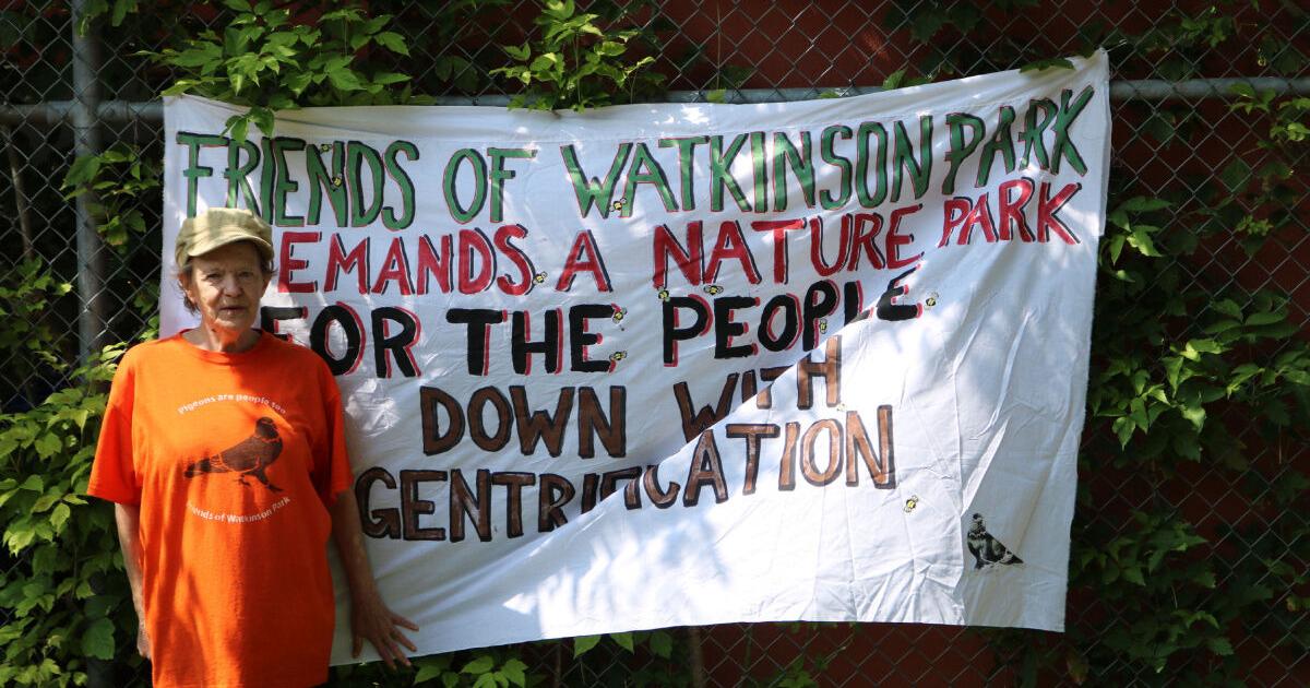 Protesters begin fight against destruction of green space and ...