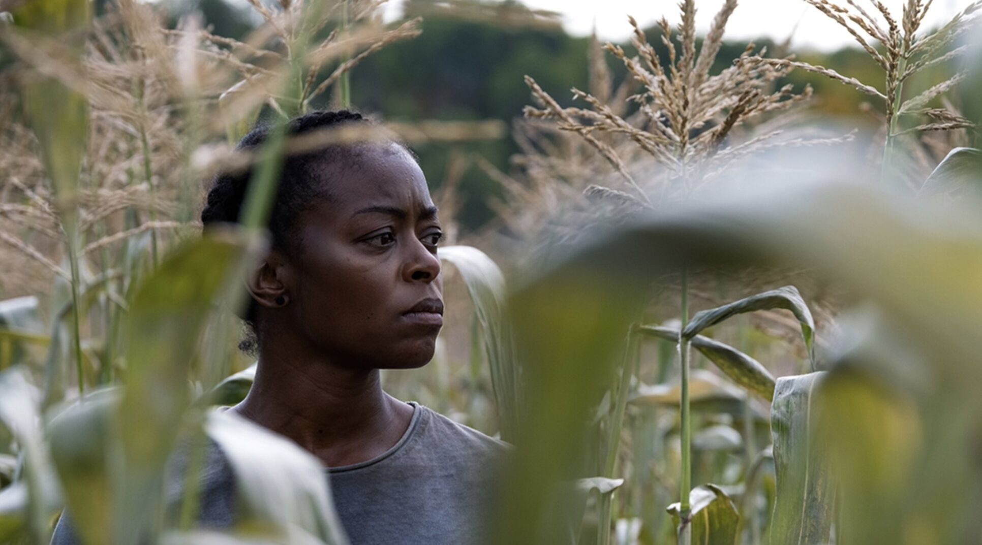 TIFF’s 10 best Canadian films of 2024 expose our insecurity