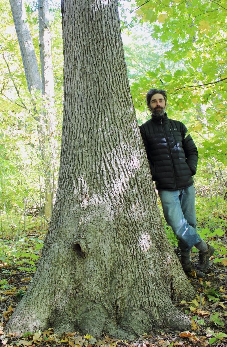 408-year-old tree discovered in Algonquin Park’s unprotected logging zone