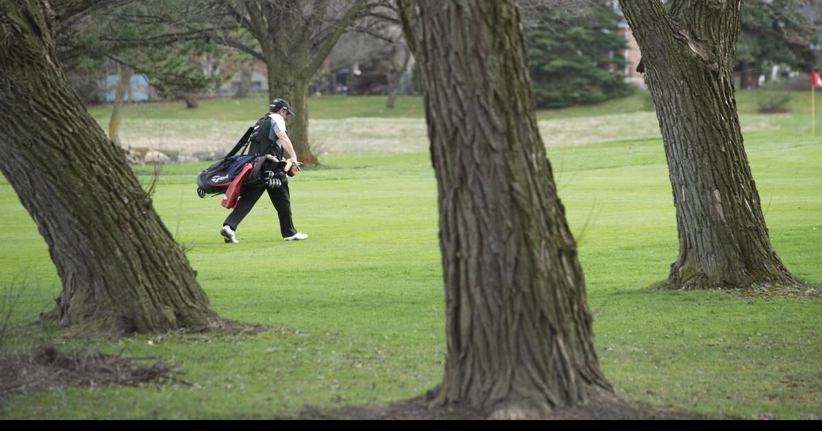 Pandemic golf — a good walk unspoiled with a sanitized rulebook