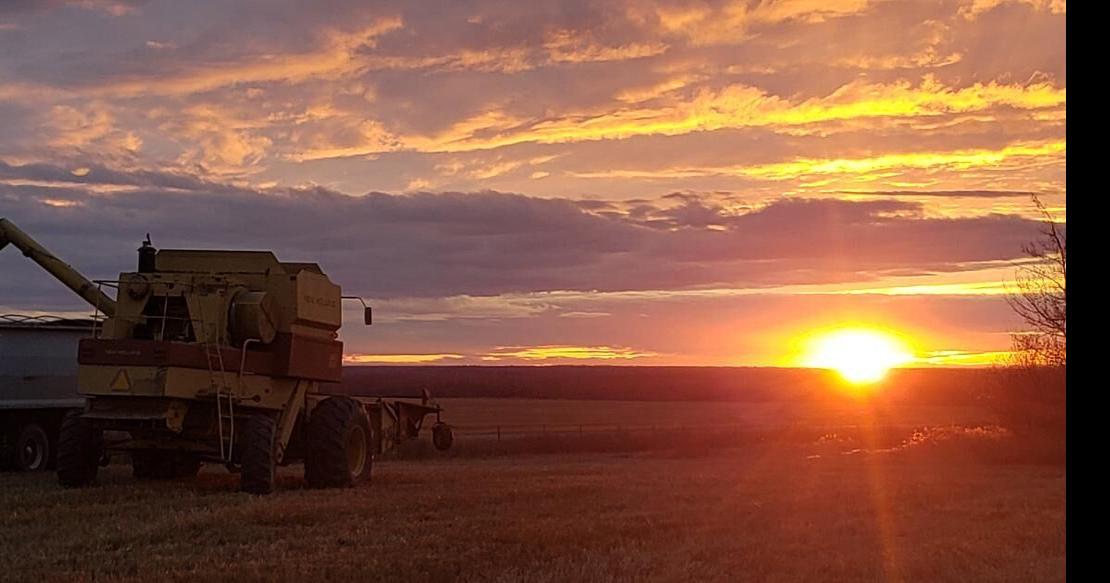 Northern Alberta farmer uses YouTube to connect with growing audience