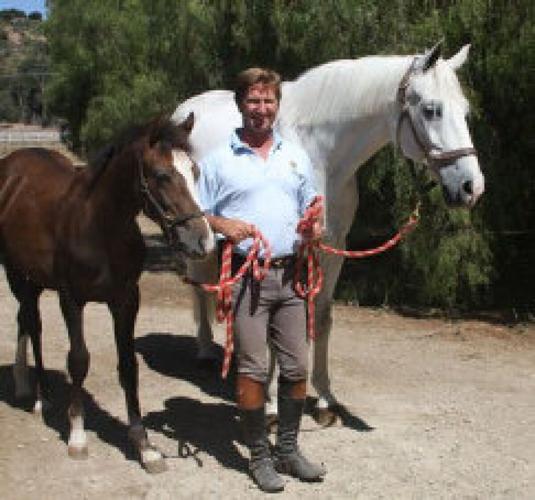 Controversial horse cloning alters Summer Olympics equestrian outlook