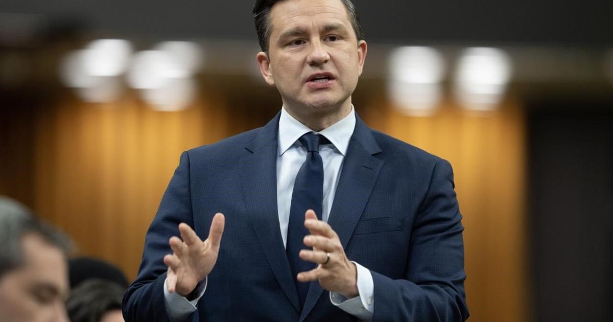 Butt Out Pierre Poilievre Criticizes Justin Trudeau Feds On Alberta