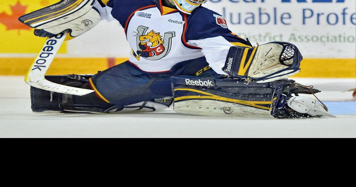 OHL: Barrie Colts head into final vs. London Knights on high