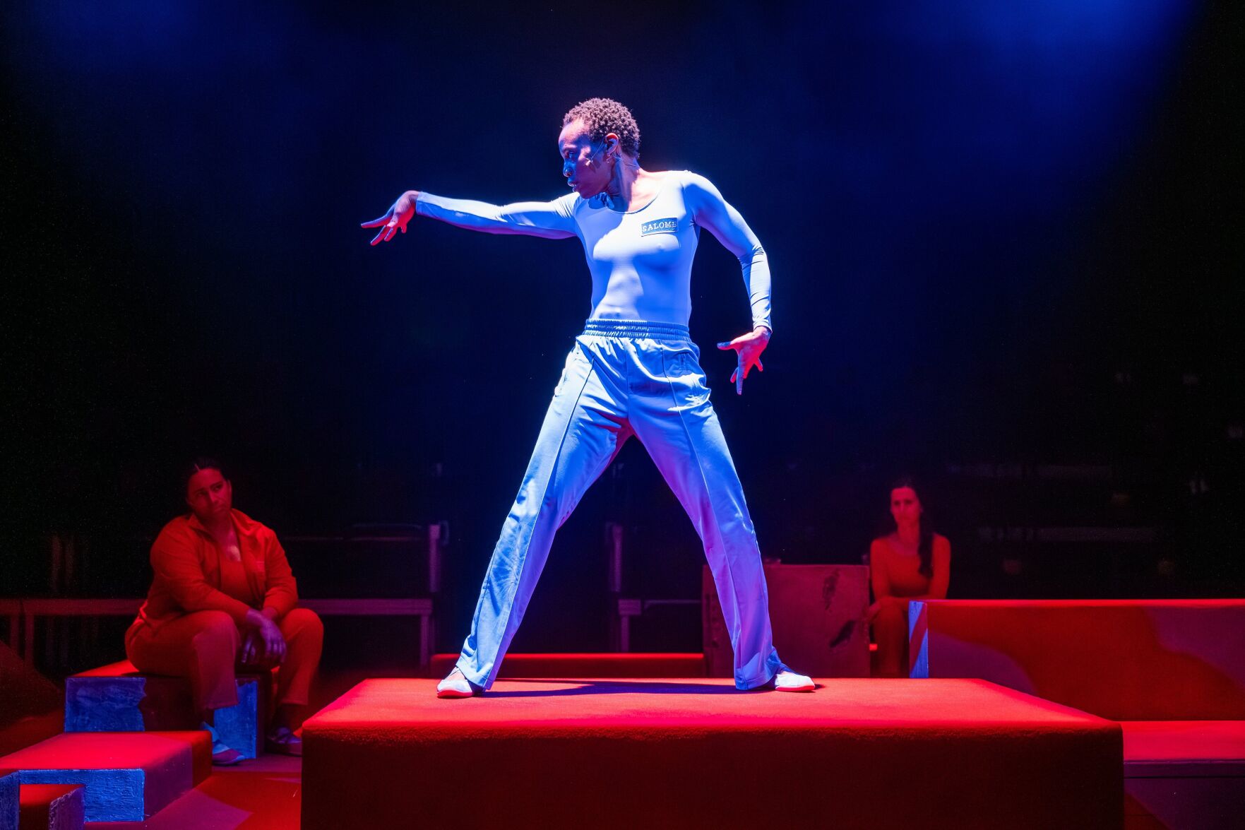 Crow’s Theatre’s Mary, Mary, Mary, Mary review