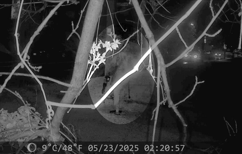 New ghostlike video shows how Parkside speed camera was cut down in May ...