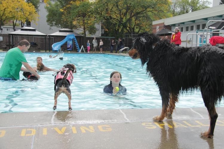 Edmonton Humane Society closes out the dog days of summer at the Oliver ...