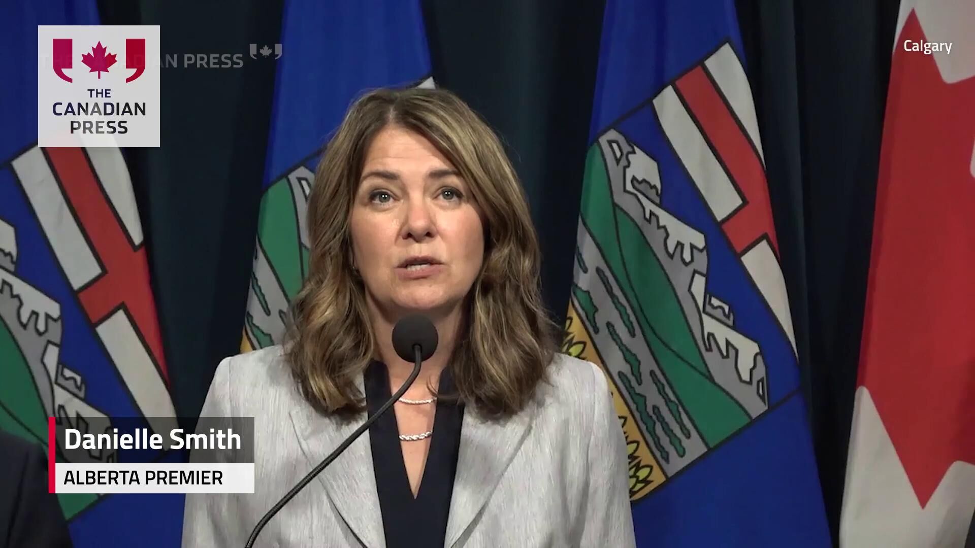 Alberta to add citizenship to ID cards to streamline service, protect ...