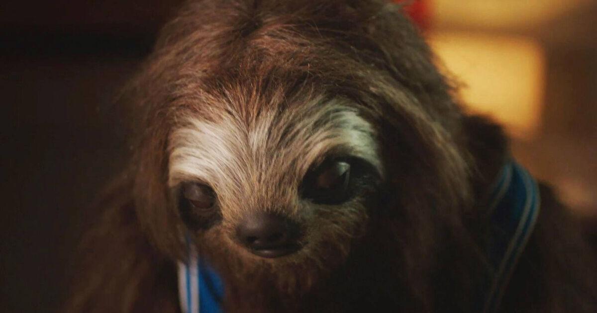 Australian ‘Stoner Sloth’ anti-drug campaign gaining online traction